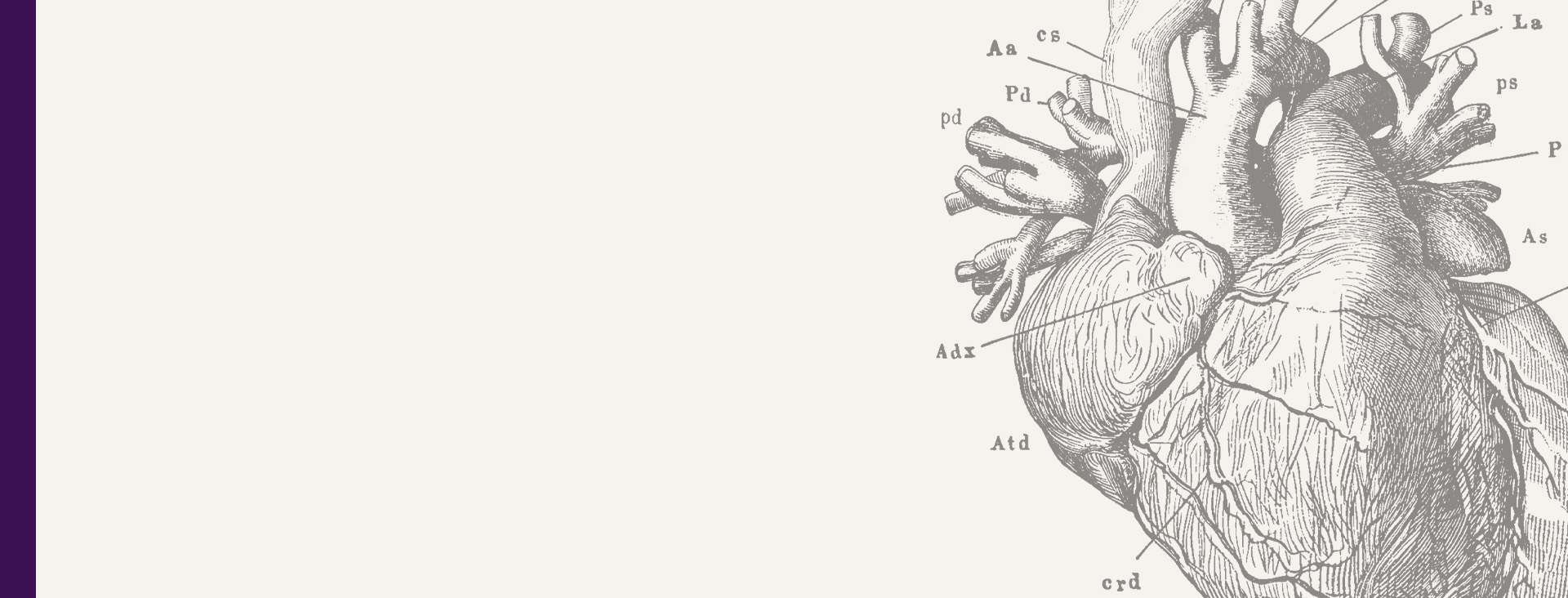 Cardio Summit Newsletter Campaign - The Partnership